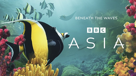 BBC Series Asia | BBC Earth